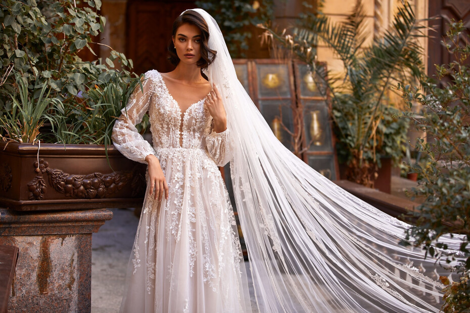 About us - pollardi.com